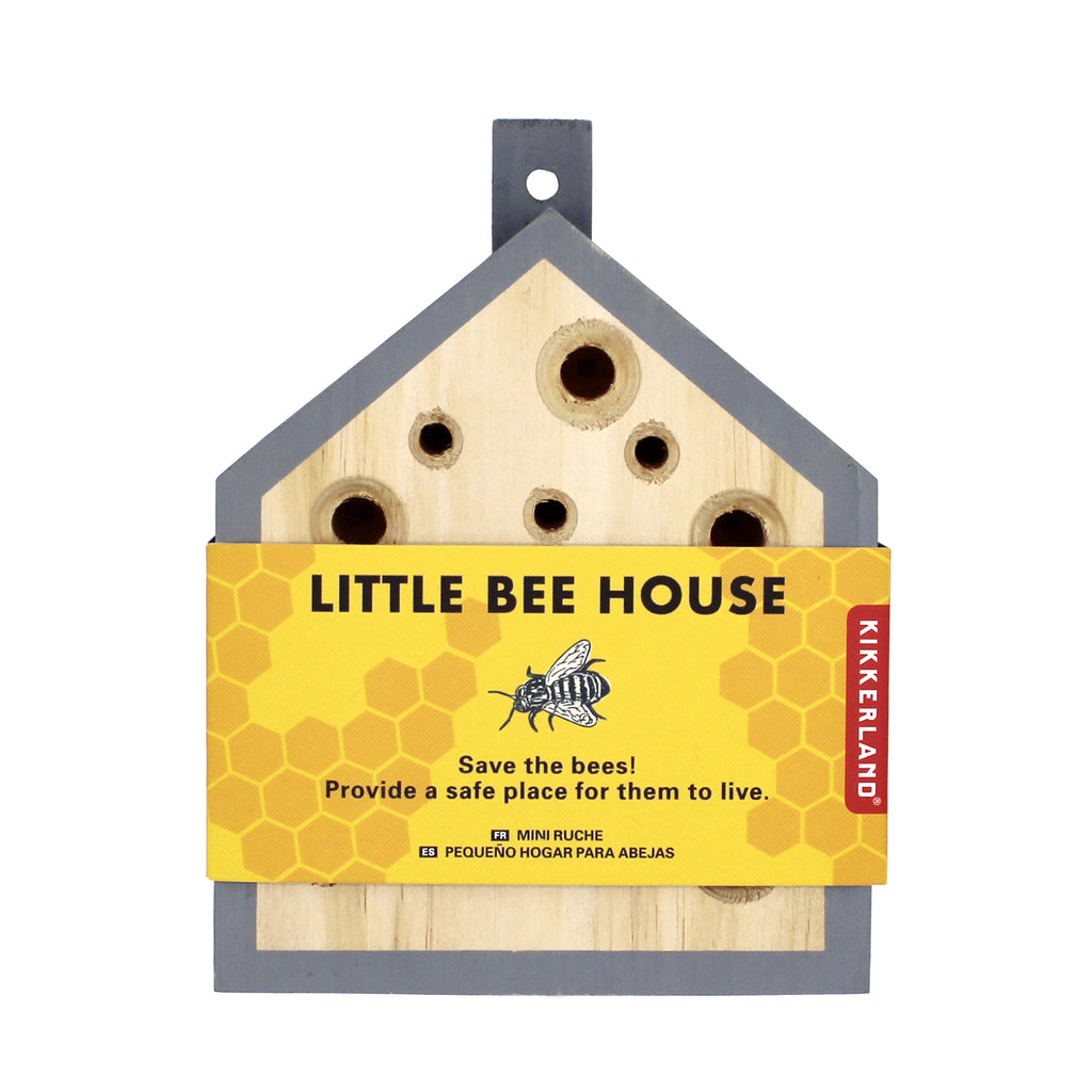 Little Bee House | Dundee Contemporary Arts