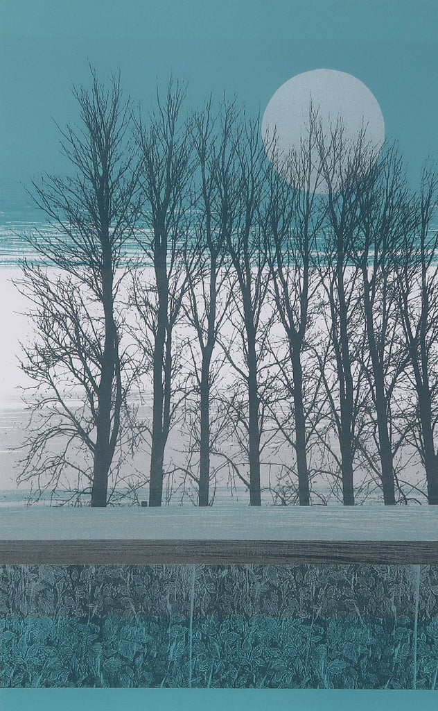 Tall Trees | Dundee Contemporary Arts